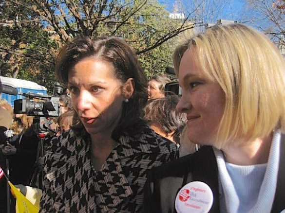 Jamie Radtke Endorses Jill Vogel for Lt. Governor – The Bull Elephant