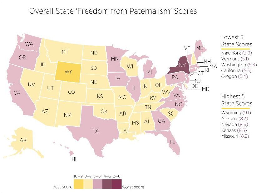 Protestants, Progressives and Paternalism – The Bull Elephant