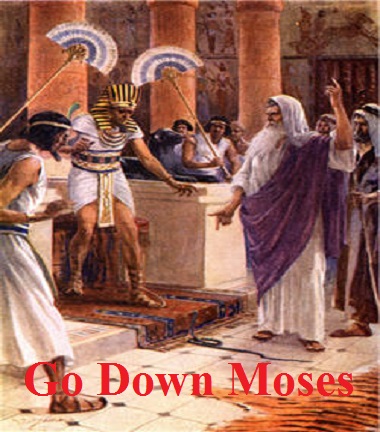 Fading Biblical Legacy, Diminished Wisdom – The Bull Elephant