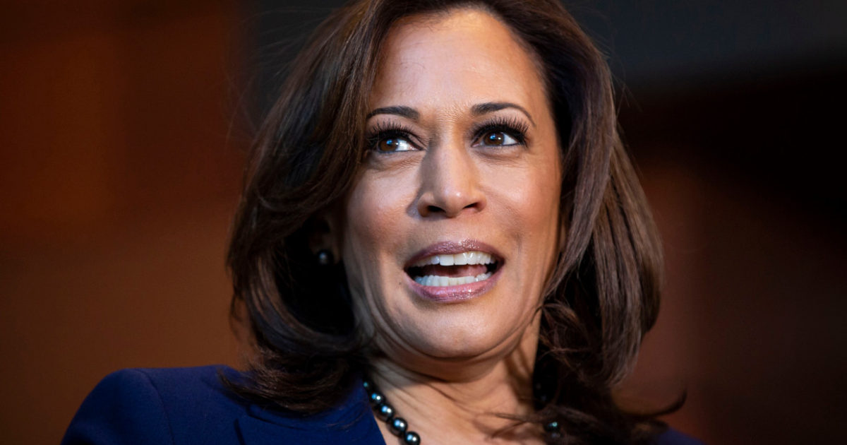 No Surprise. Itâ€™s Kamala Harris. – The Bull Elephant