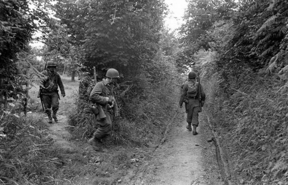 Politics of War, Then and Now – The Bull Elephant