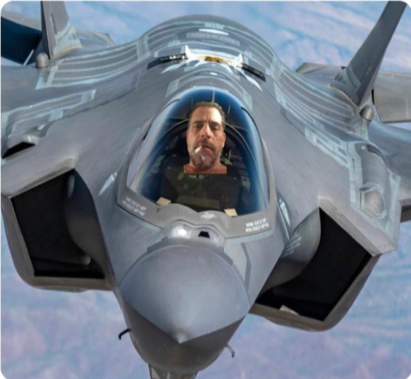 Sunday Memes–How to lose an F-35 fighter jet – The Bull Elephant