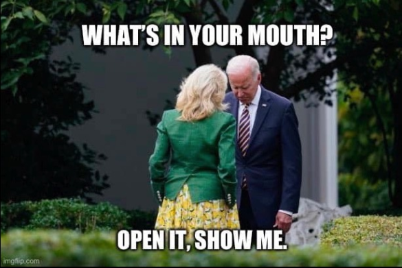 Sunday Memes–Our President’s ever shrinking brain – The Bull Elephant