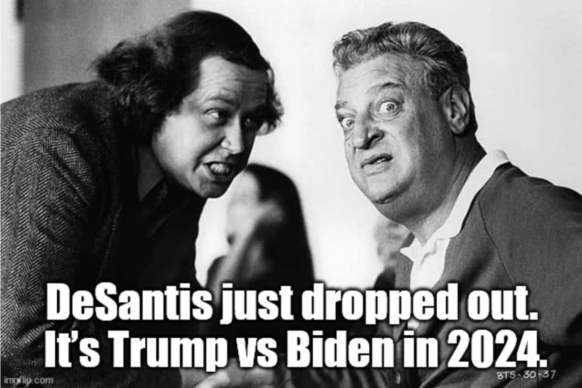 Sunday Memes–Don’t mess with Texas – The Bull Elephant