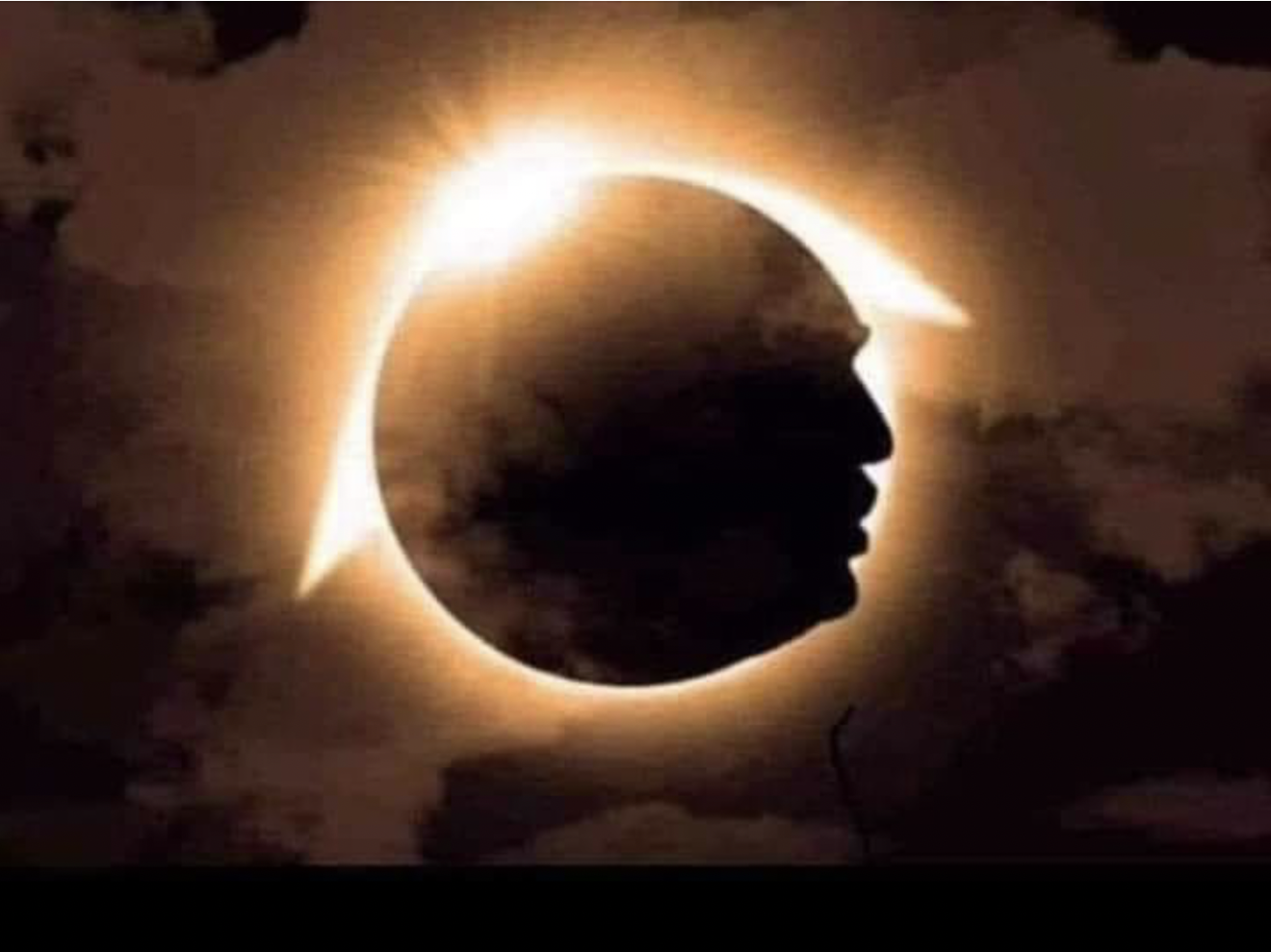 Sunday Memes–Eclipse Edition – The Bull Elephant