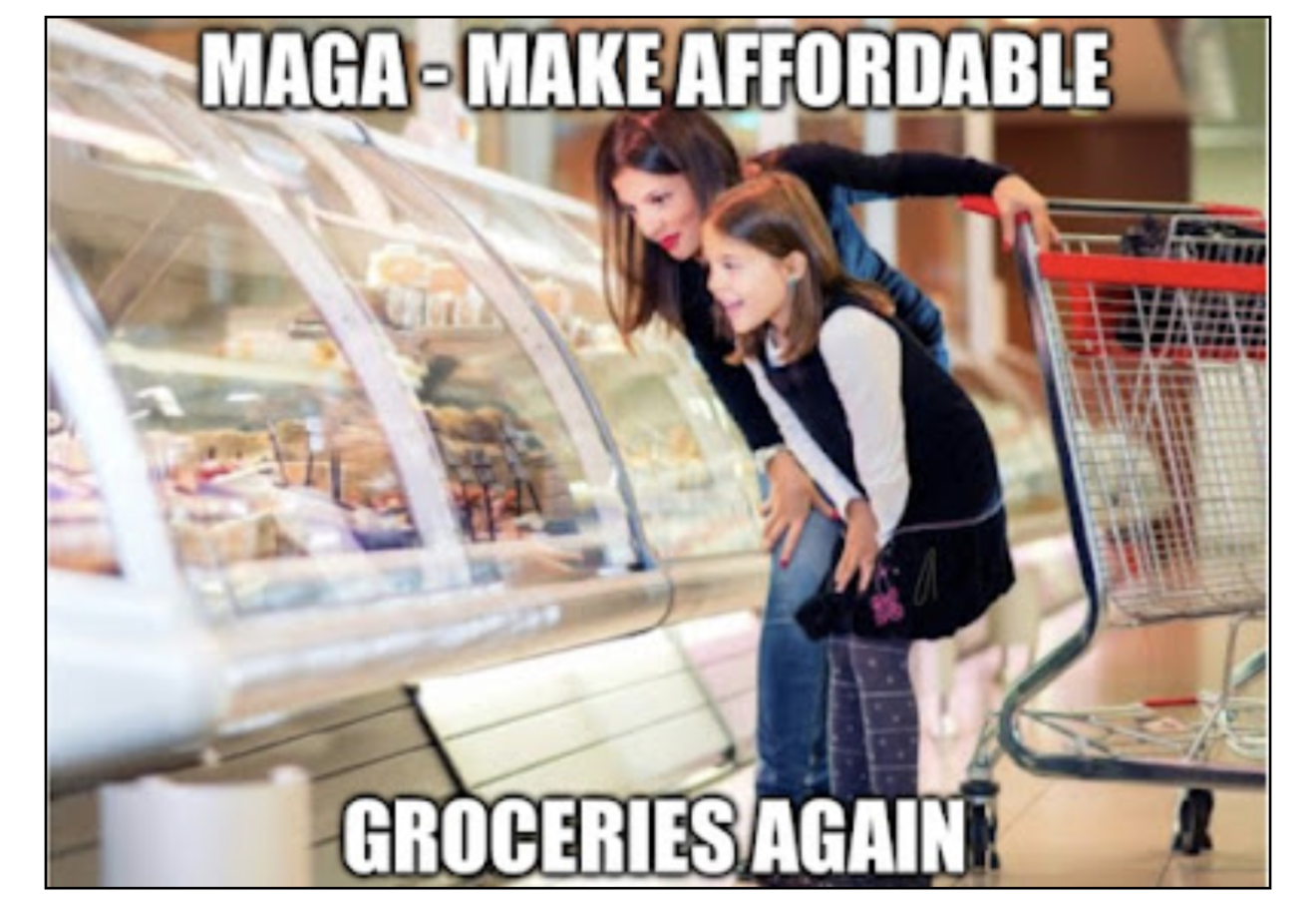 Sunday Memes–Our bumbling, stumbling, sad president – The Bull Elephant