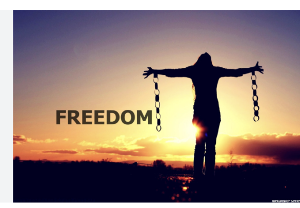 Freedom is Free (Courtesy of the Lamb of God) – The Bull Elephant