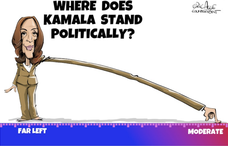 Sunday Memes–How many times can Kamala flip-flop? – The Bull Elephant