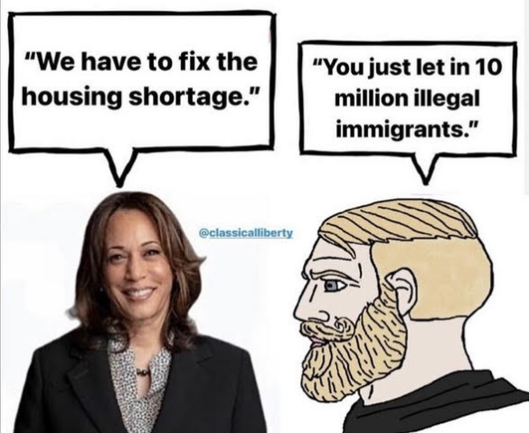 Sunday Memes–How many times can Kamala flip-flop? – The Bull Elephant