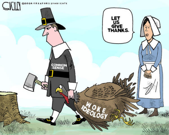 Sunday Memes–The Death of DEI – The Bull Elephant