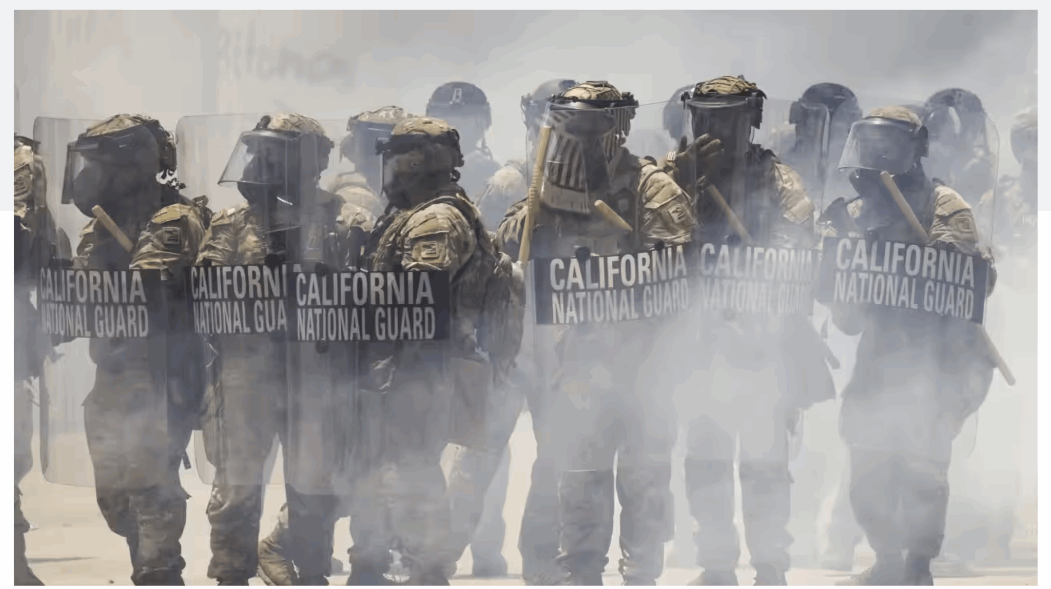 The Case for Insurrection – The Bull Elephant