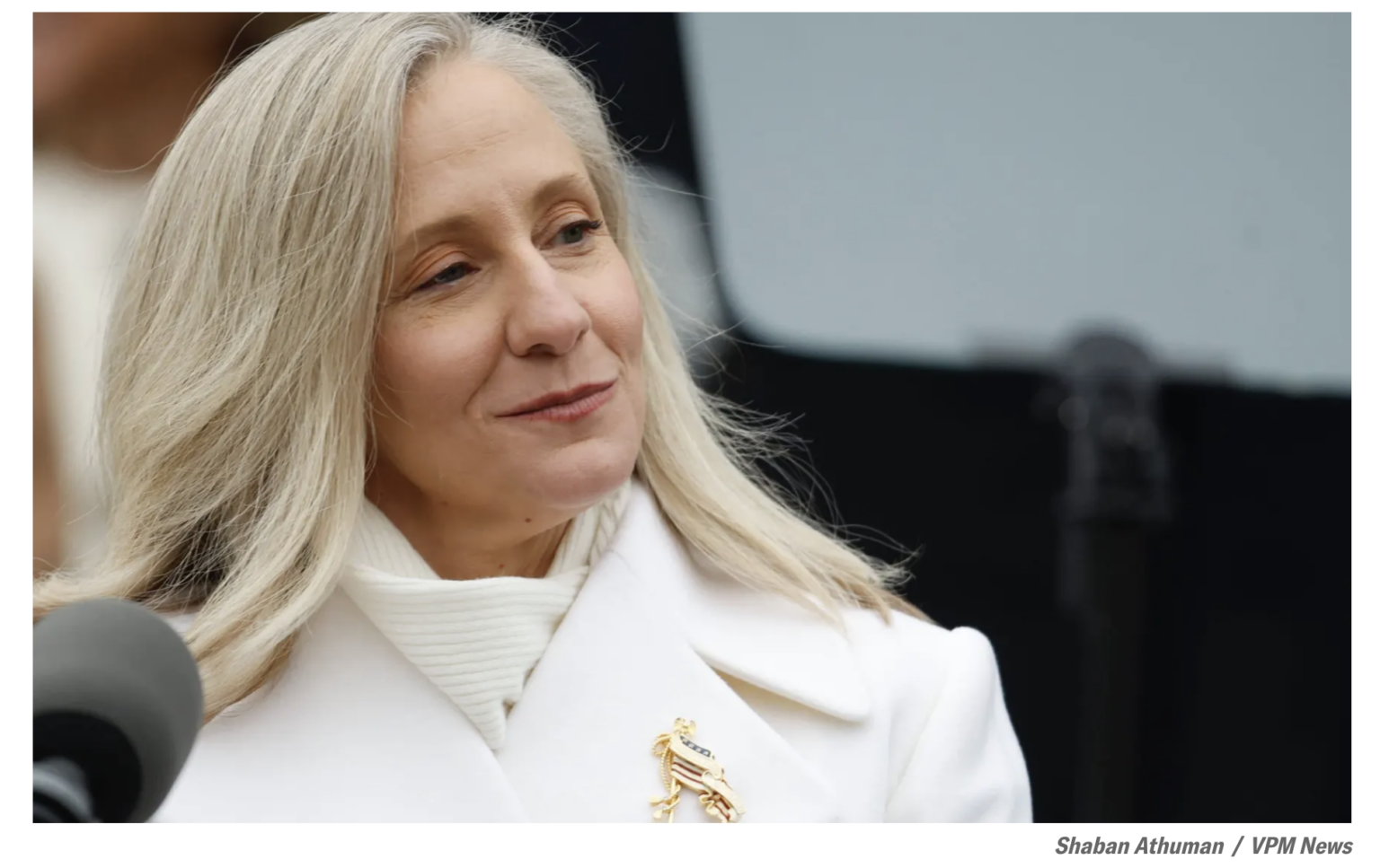 Gov. Spanberger’s day one Executive Orders – The Bull Elephant